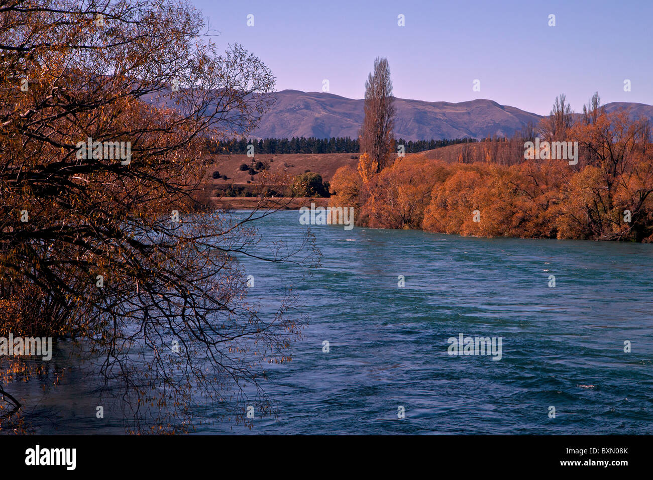 The Clutha River in flood at the mid May 2010 Stock Photo - Alamy