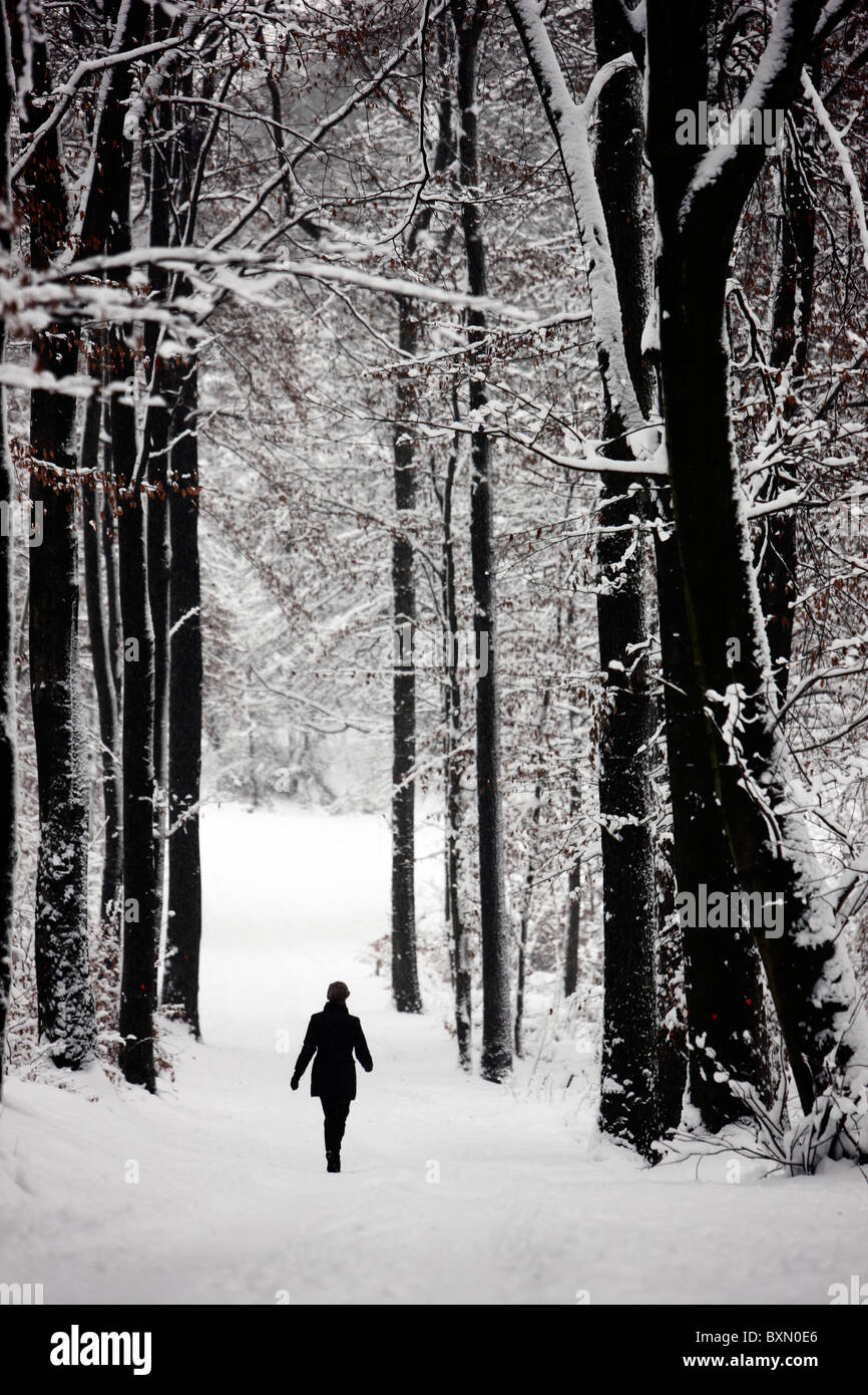 Wintertime, snow covered forest. People on a hike on a snowy path Stock ...