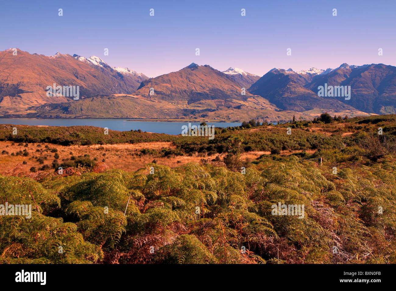 Lake Hawea New Zealand Stock Photo - Alamy