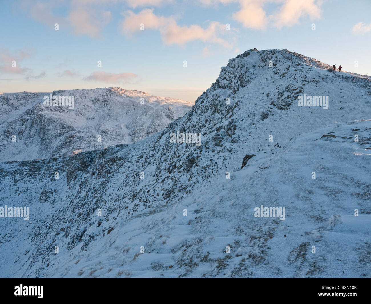 Y background hi-res stock photography and images - Alamy