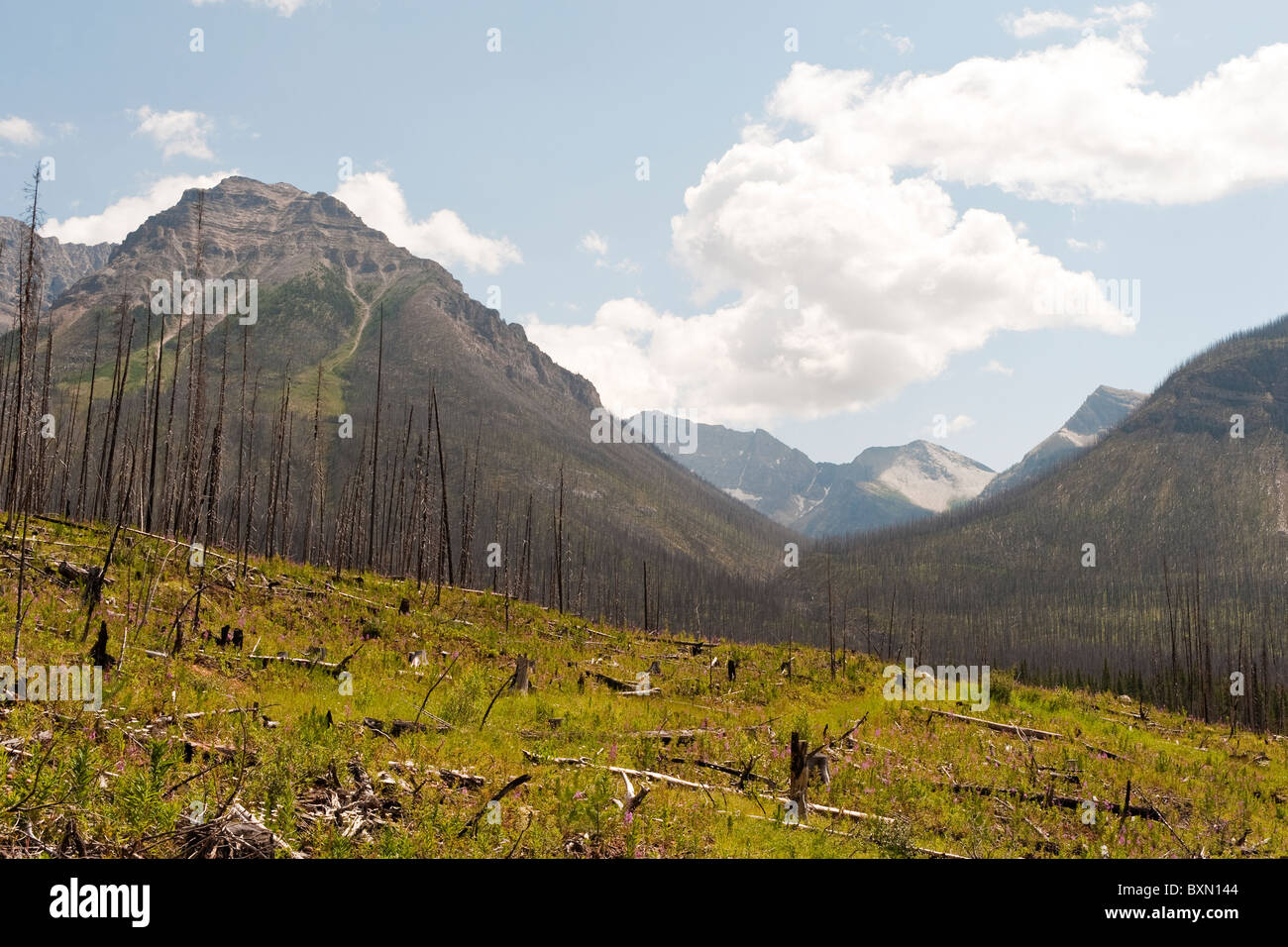 Fire marble hi-res stock photography and images - Alamy