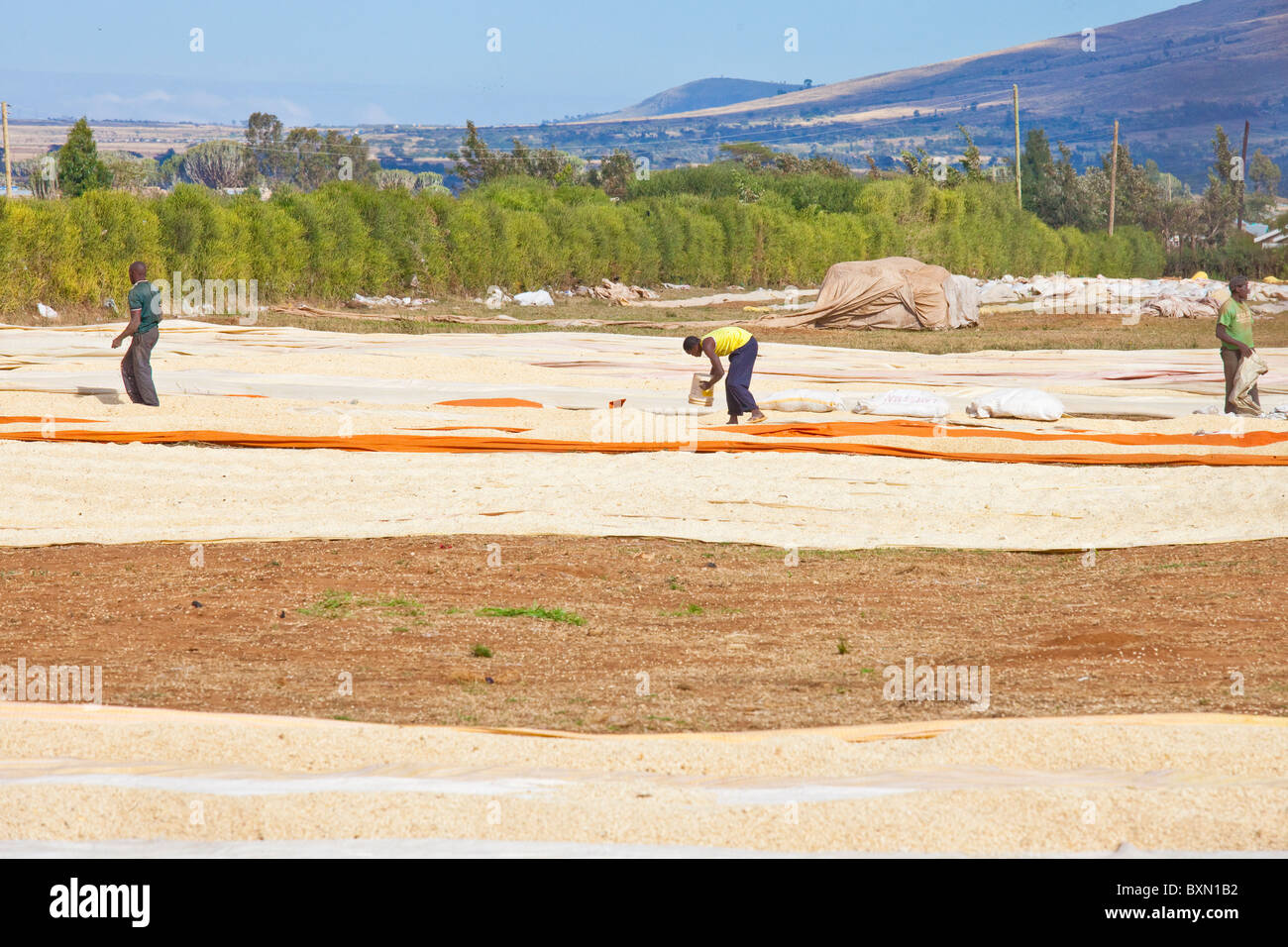 Agriculture africa kenya hi-res stock photography and images - Alamy