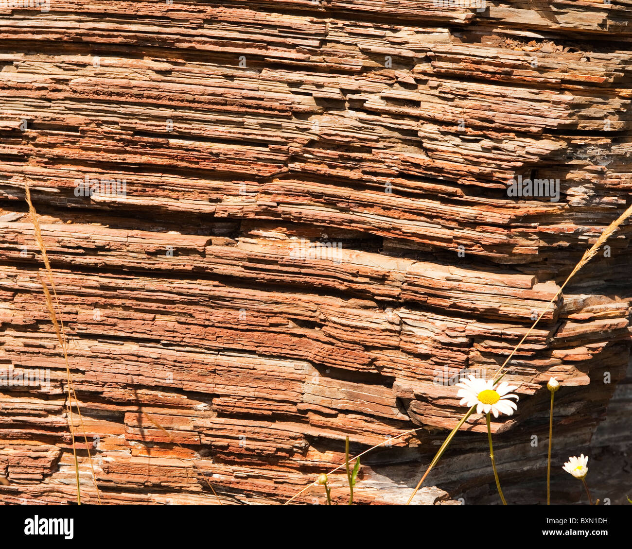 Sedimentary rock british columbia hi-res stock photography and images ...