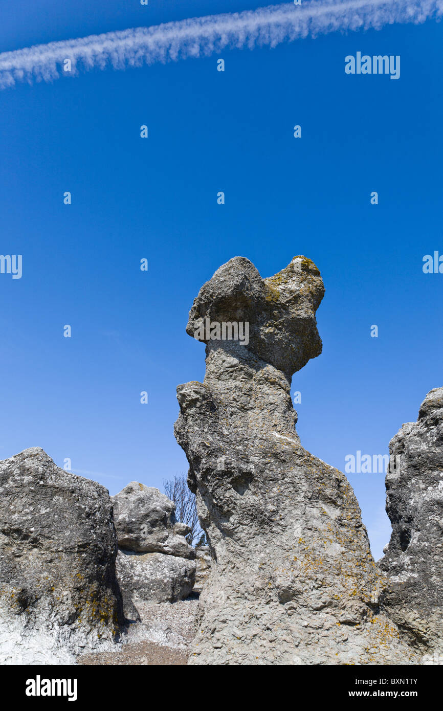 Limestone formations, sea-stacks, in Folhammar, Gotland, Sweden Stock ...