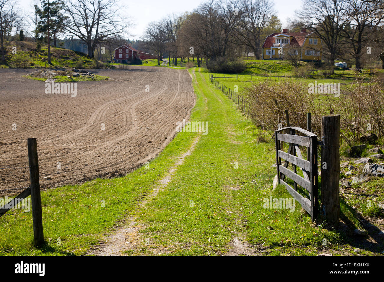 Rural spring landscape Stock Photo - Alamy