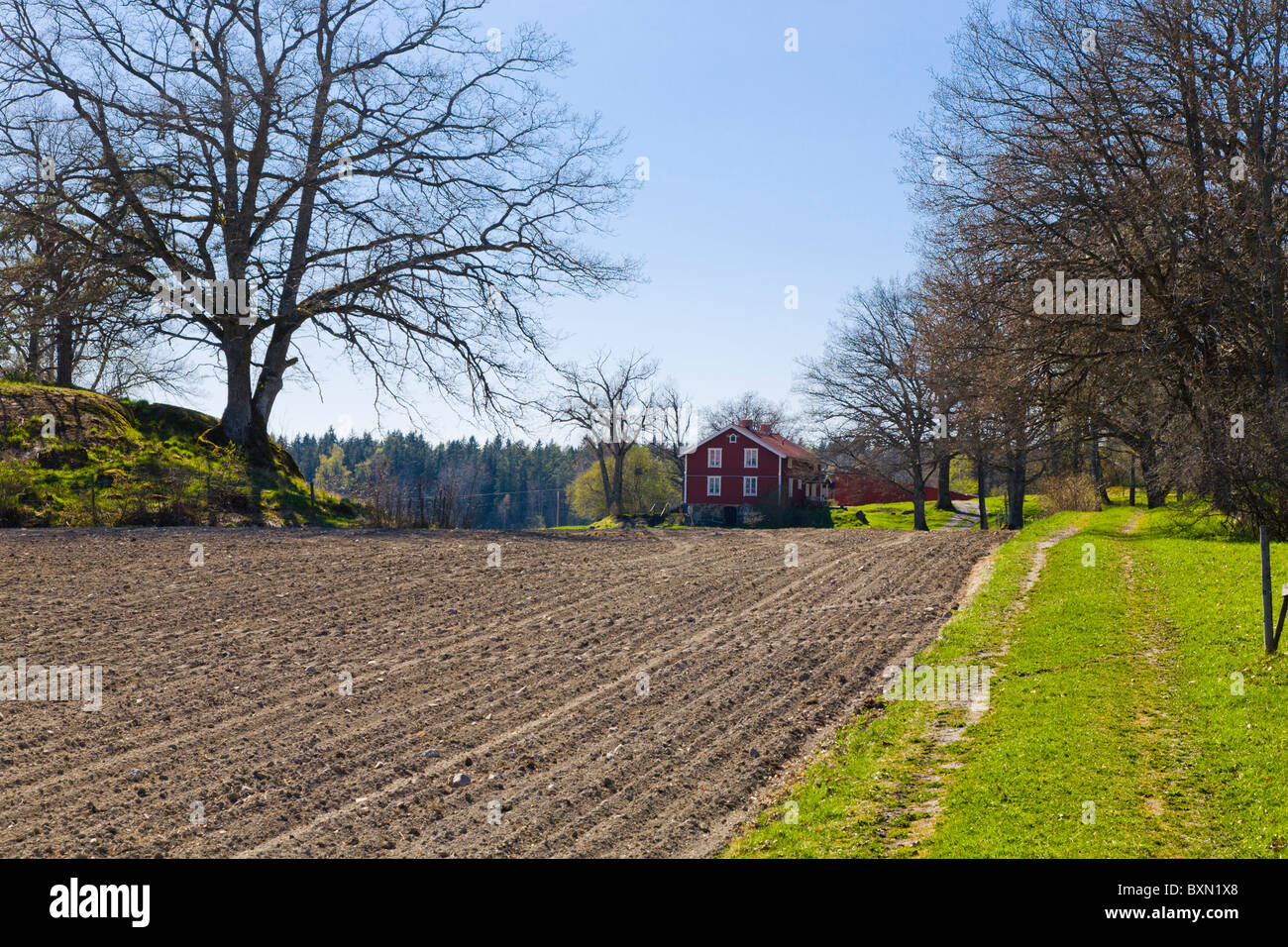 Rural spring landscape Stock Photo - Alamy