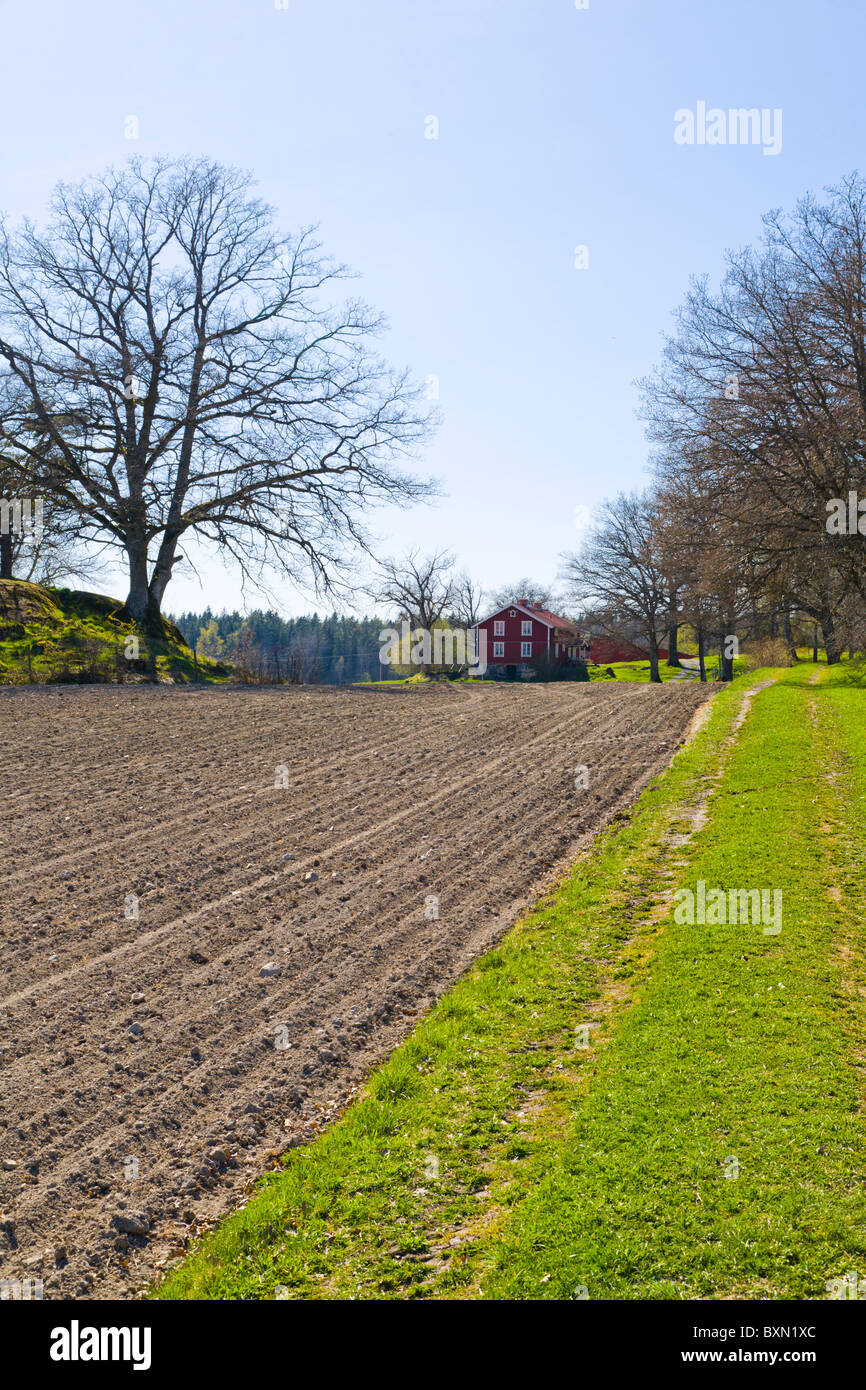 Rural spring landscape Stock Photo - Alamy