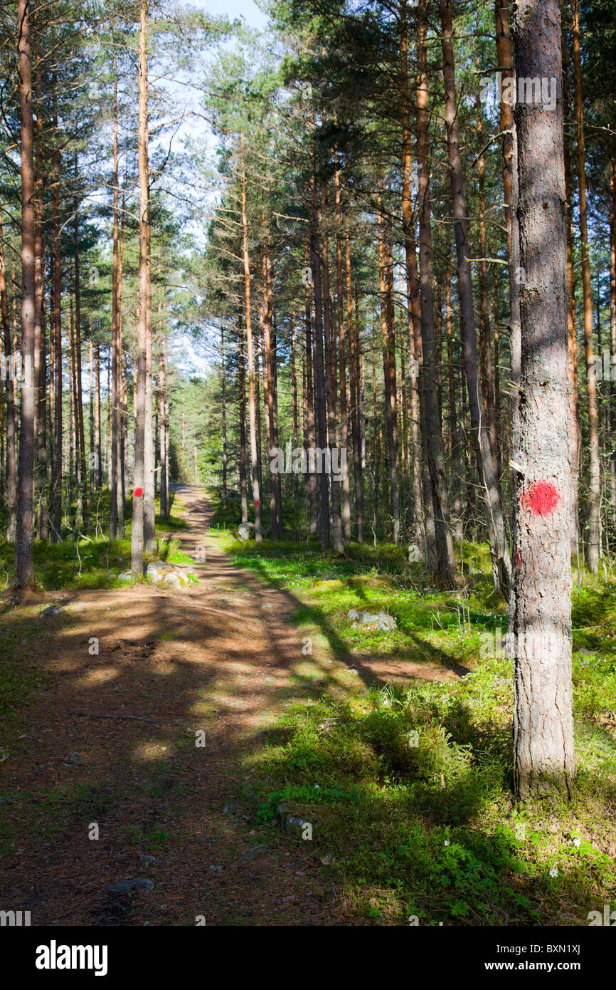 Marked path hi-res stock photography and images - Alamy
