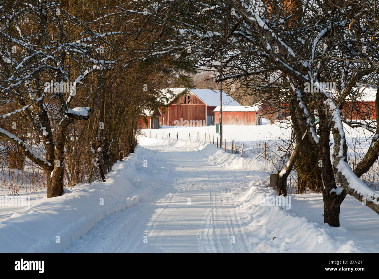 Swedish winter hi-res stock photography and images - Alamy