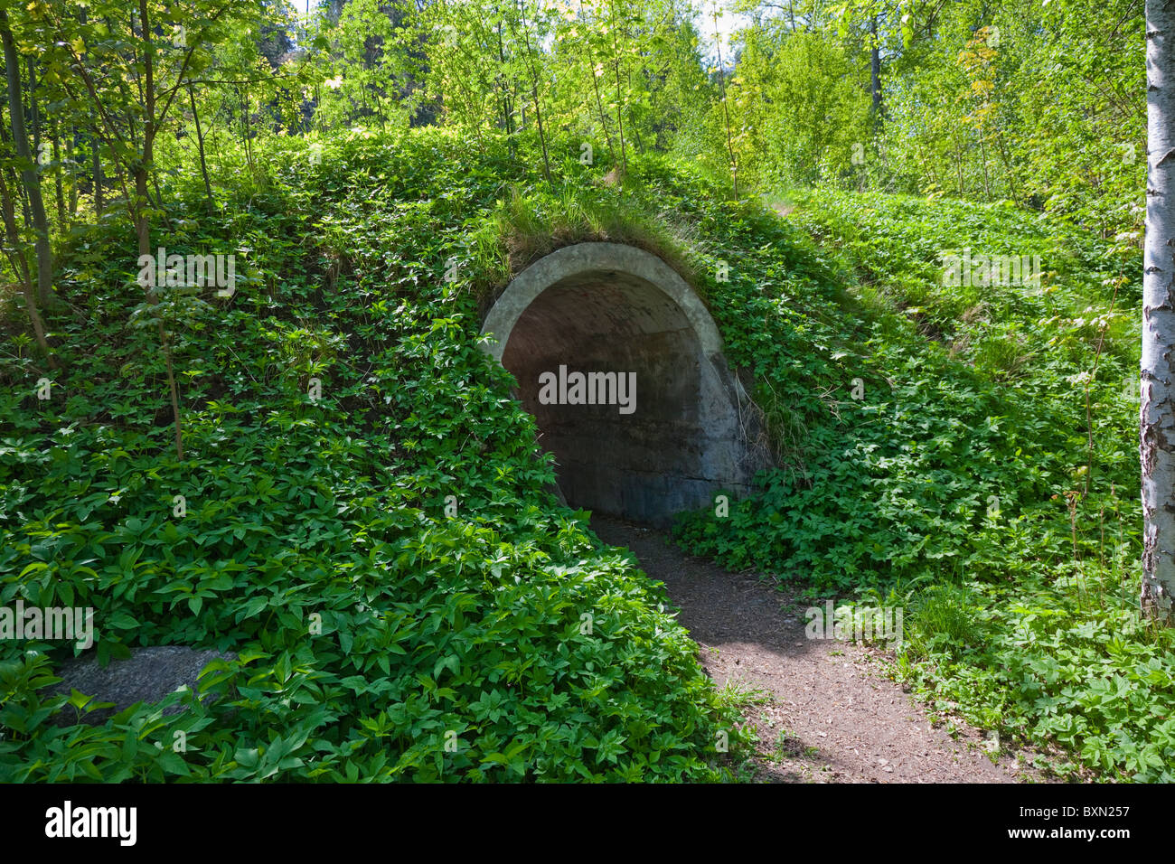Alfred Nobel's blasting bunkers, industrial archaeological remains from ...