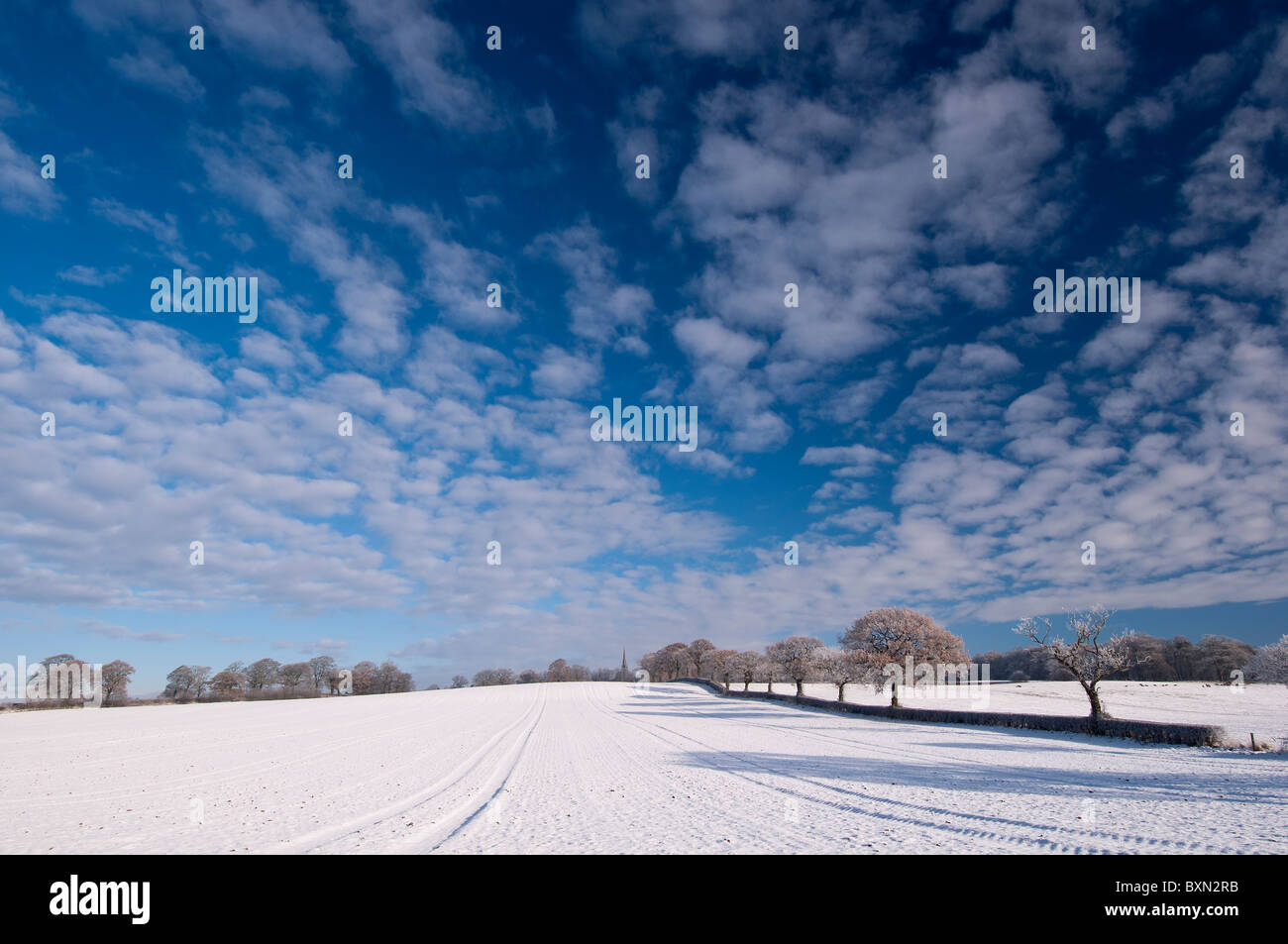 Winter comes to Keele, Staffordshire Stock Photo - Alamy