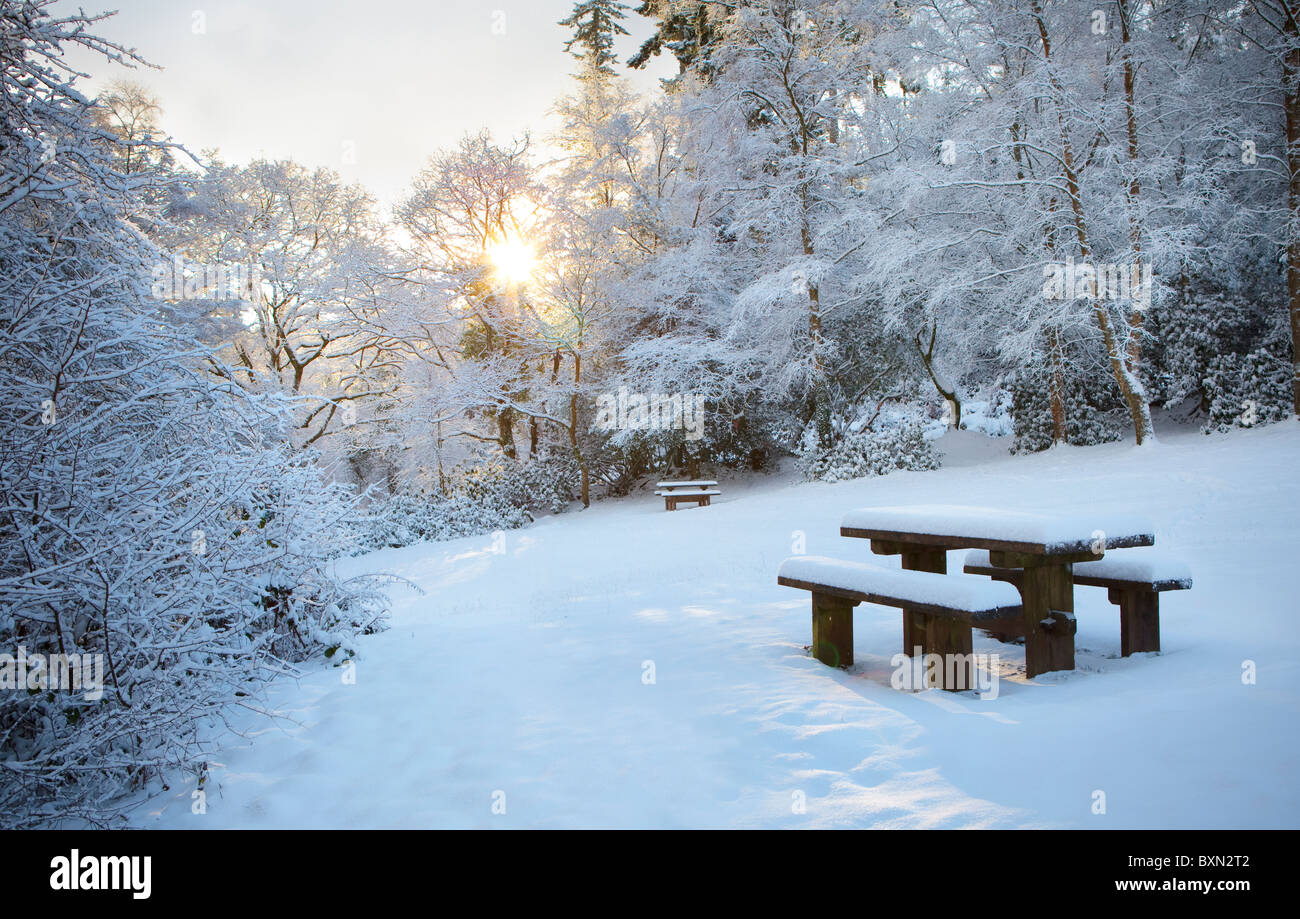 Snow covered picnic tables in an open space on the Quantock hills of ...