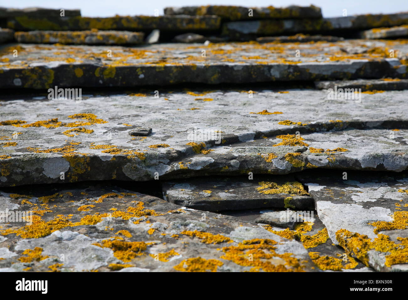 Slate slabs hi-res stock photography and images - Alamy