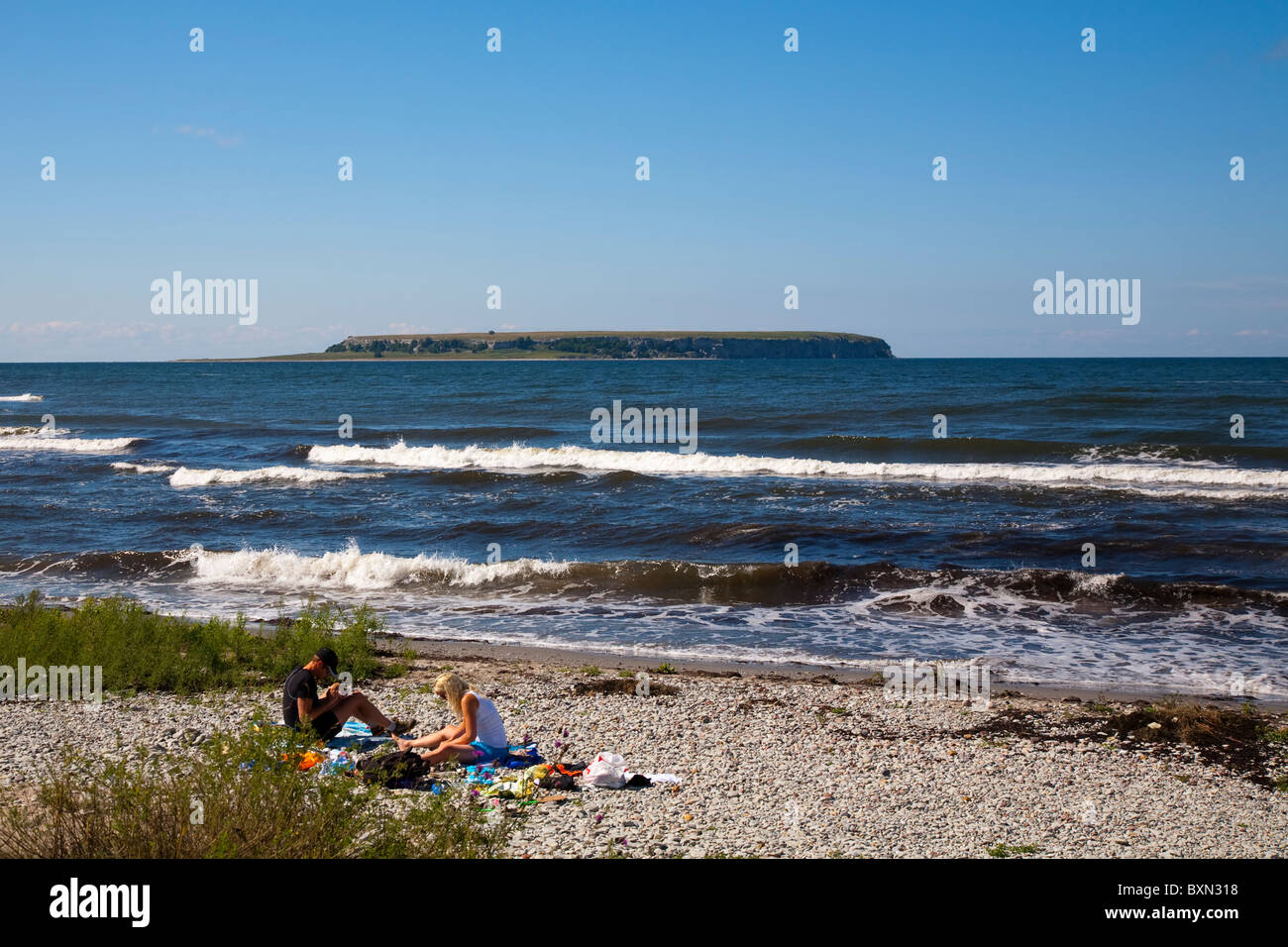 Pebble beach of gotland hi-res stock photography and images - Alamy
