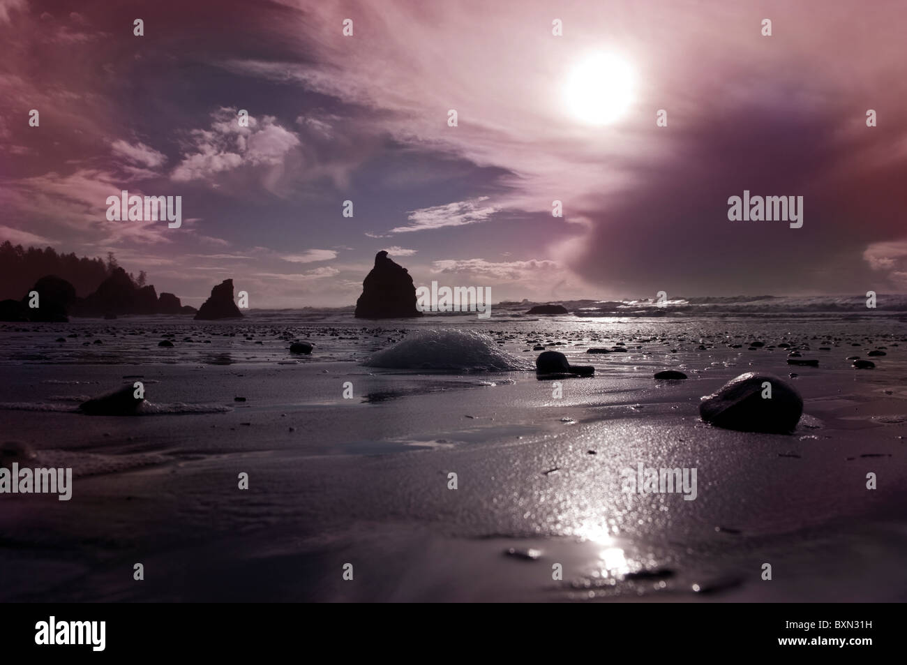 Ruby palm hi-res stock photography and images - Alamy