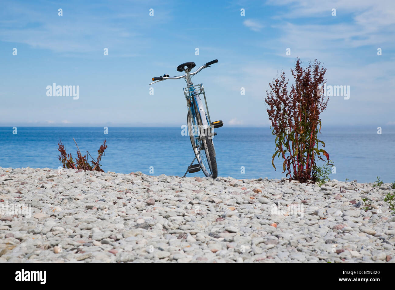 Pebble beach of gotland hi-res stock photography and images - Alamy