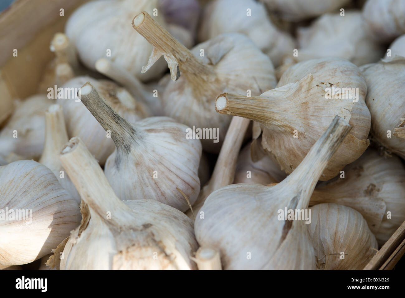 Box of garlic Stock Photo - Alamy