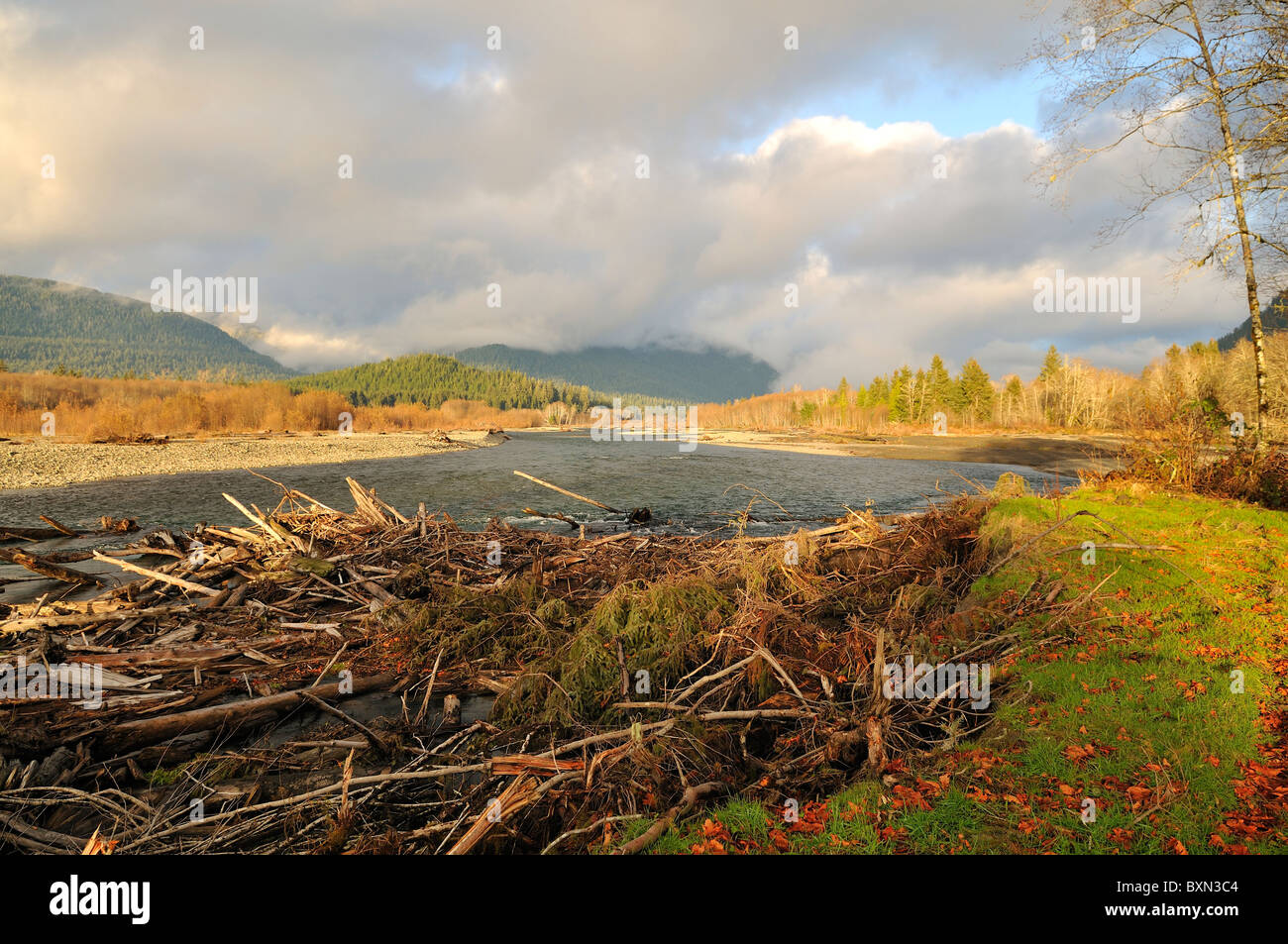 Quinault river hi-res stock photography and images - Alamy