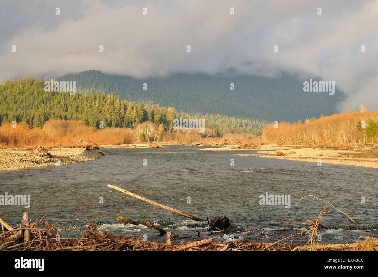Quinault hi-res stock photography and images - Alamy