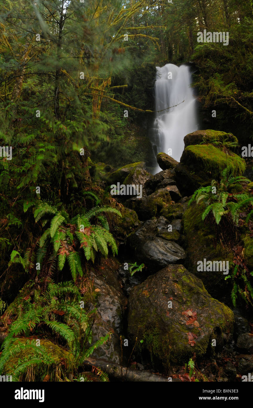 Merriman creek hi-res stock photography and images - Alamy