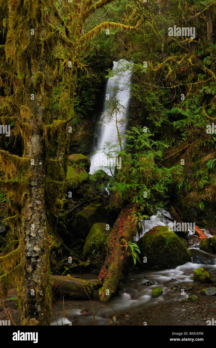 Merriman creek hi-res stock photography and images - Alamy