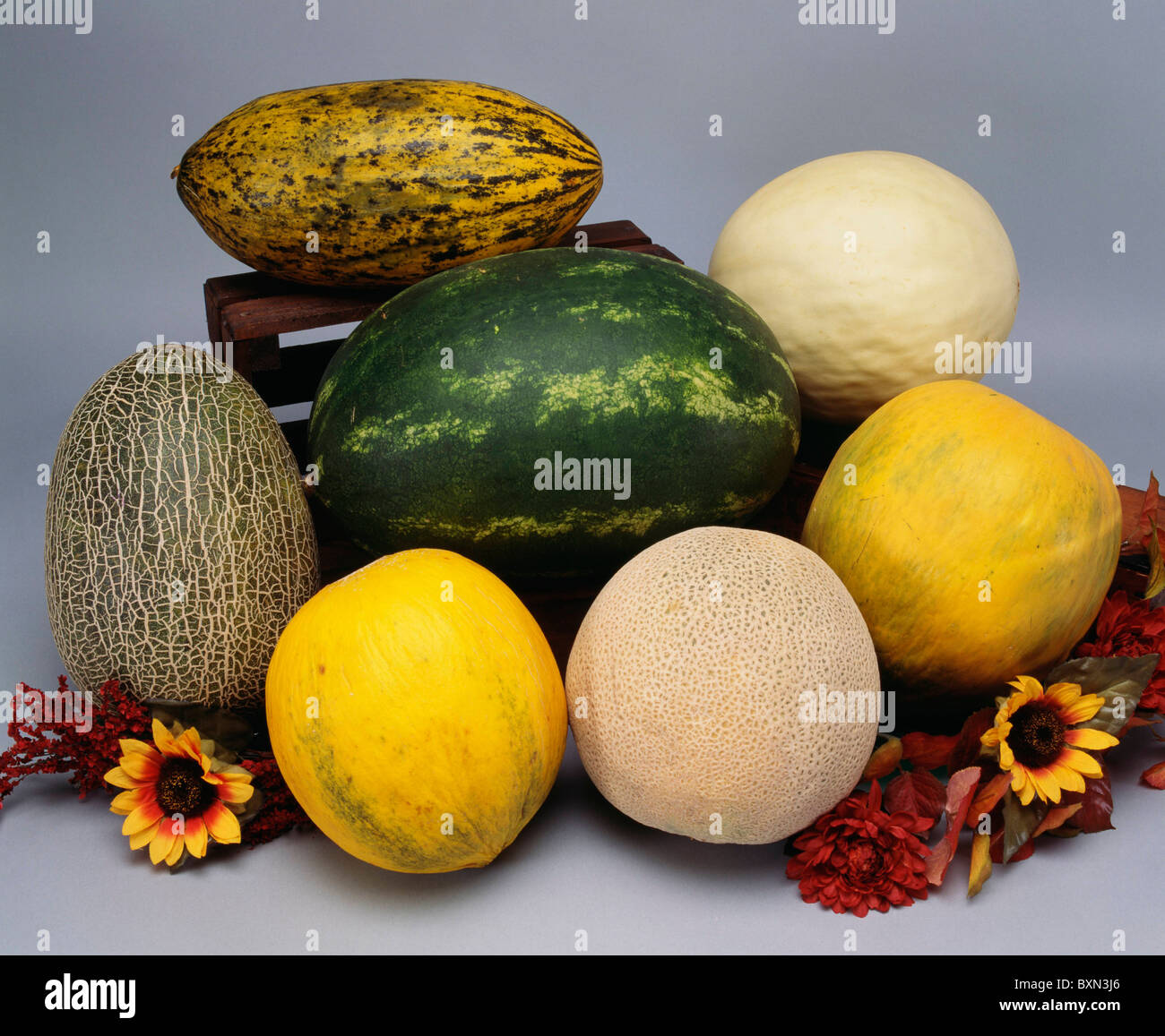 MELONS SANTA CLAUS; HONEYDEW; SHARLYNE; WATERMELON; CASABA(S); AND ...