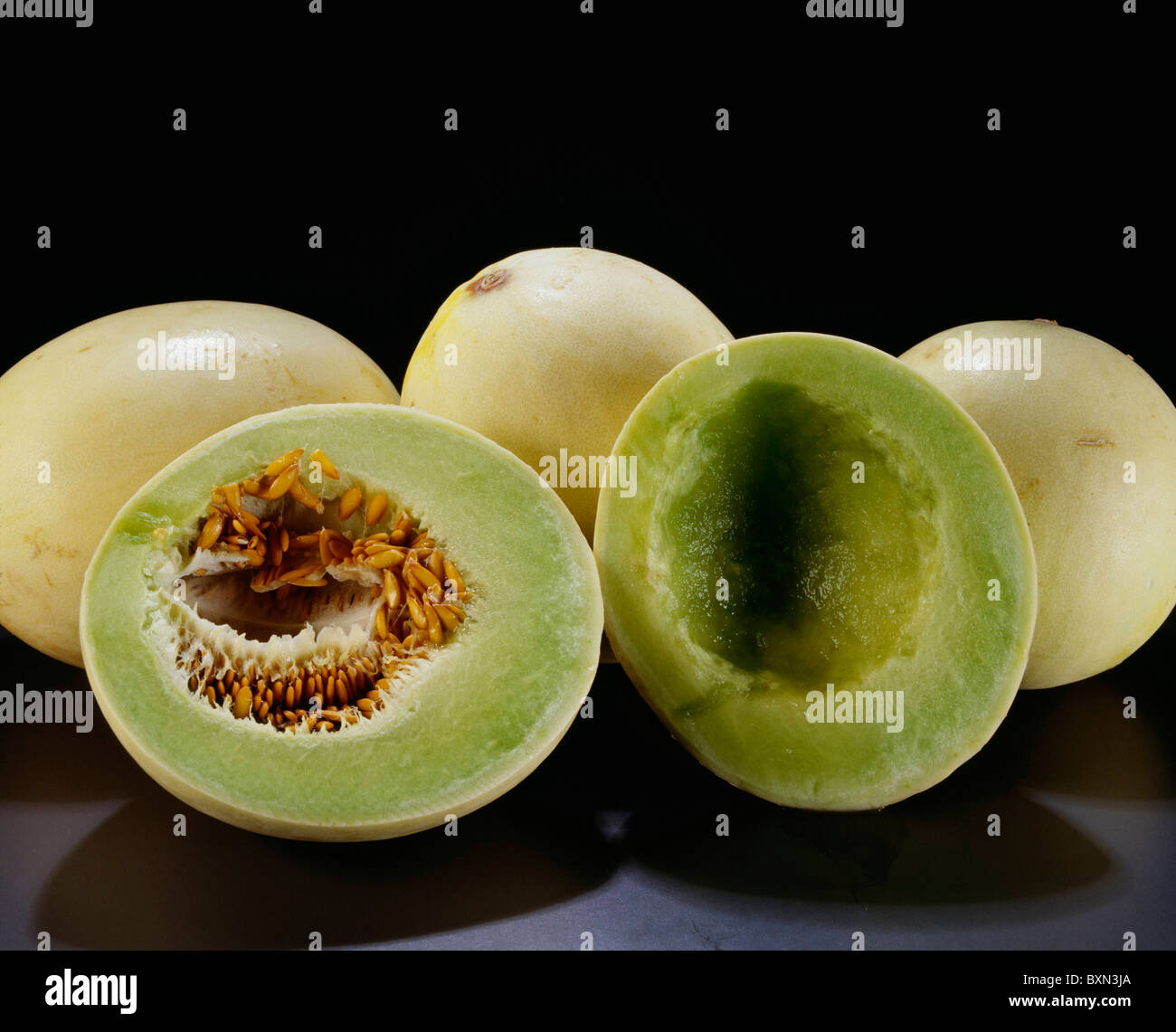 HONEYDEW MELON STUDIO Stock Photo - Alamy