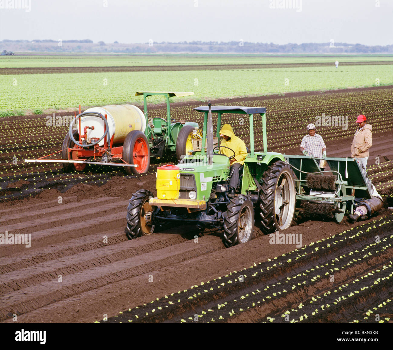 Mechanized planting hi-res stock photography and images - Alamy