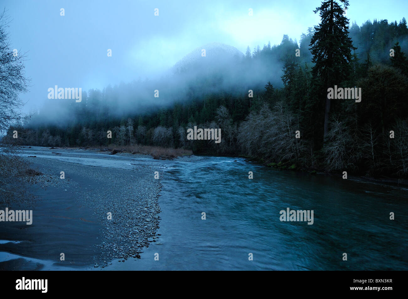 Quinault river hi-res stock photography and images - Alamy