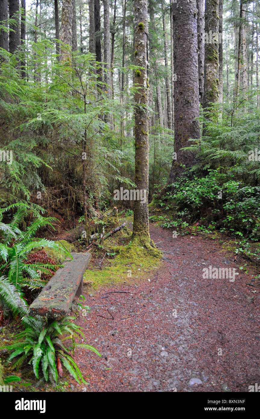 Third beach Taylor Point Trail Stock Photo - Alamy