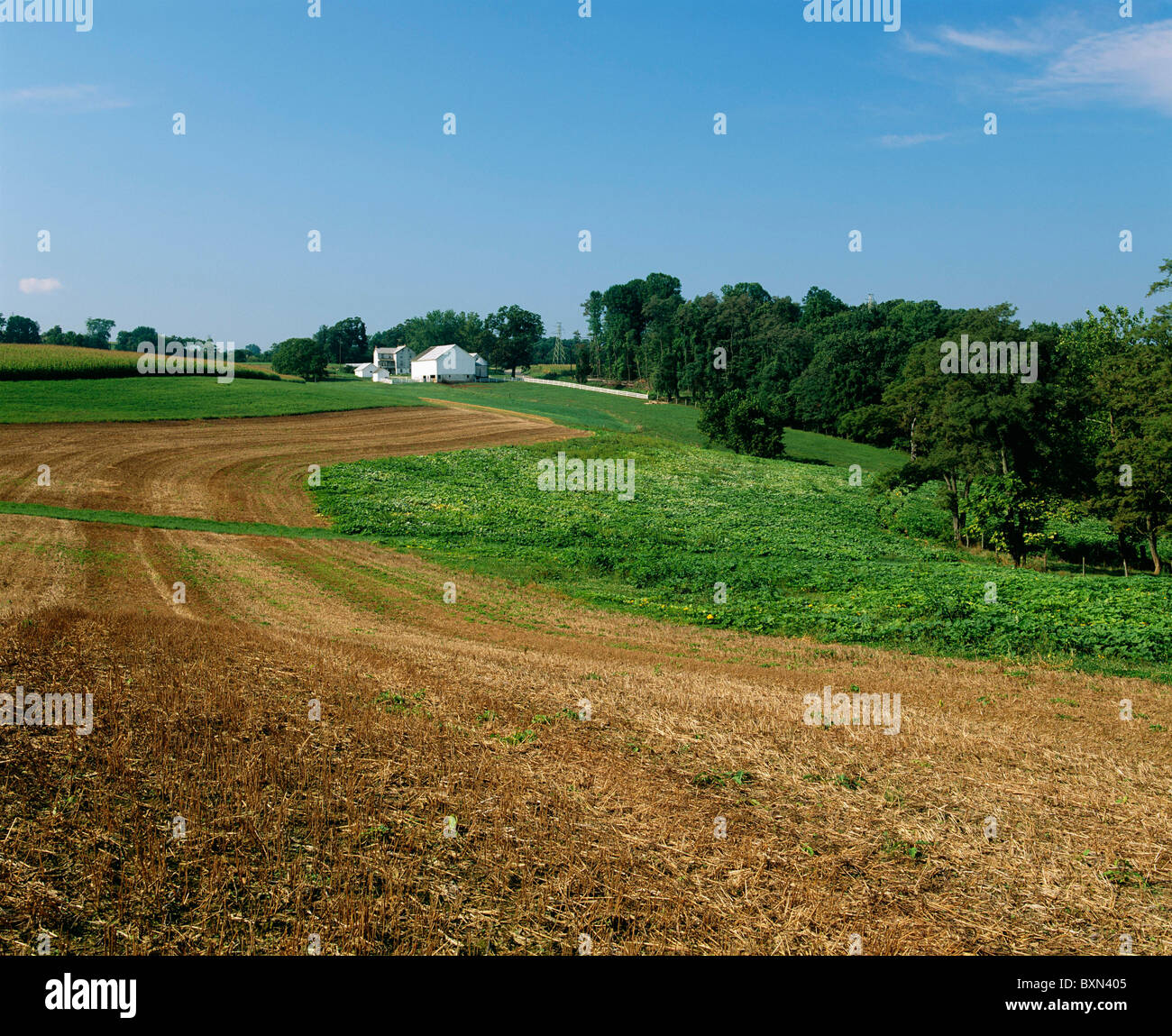 Contour farming no till hi-res stock photography and images - Alamy