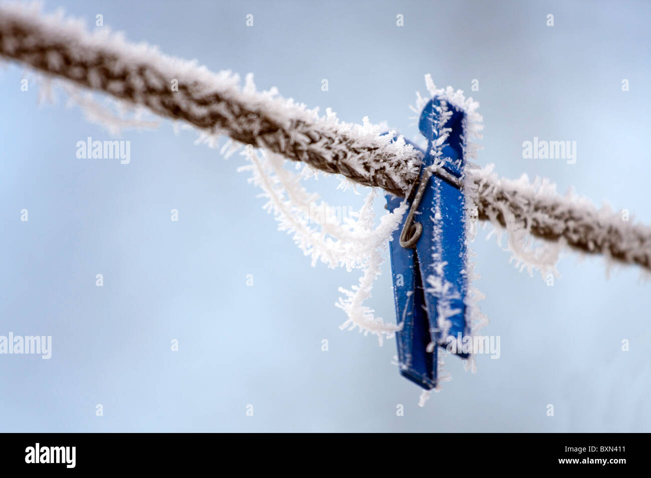 Frozen blue peg on the wire Stock Photo - Alamy