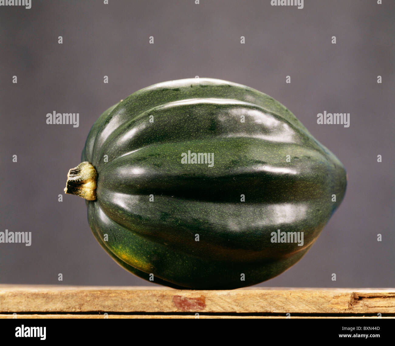 Squash cucurbita sp hi-res stock photography and images - Alamy