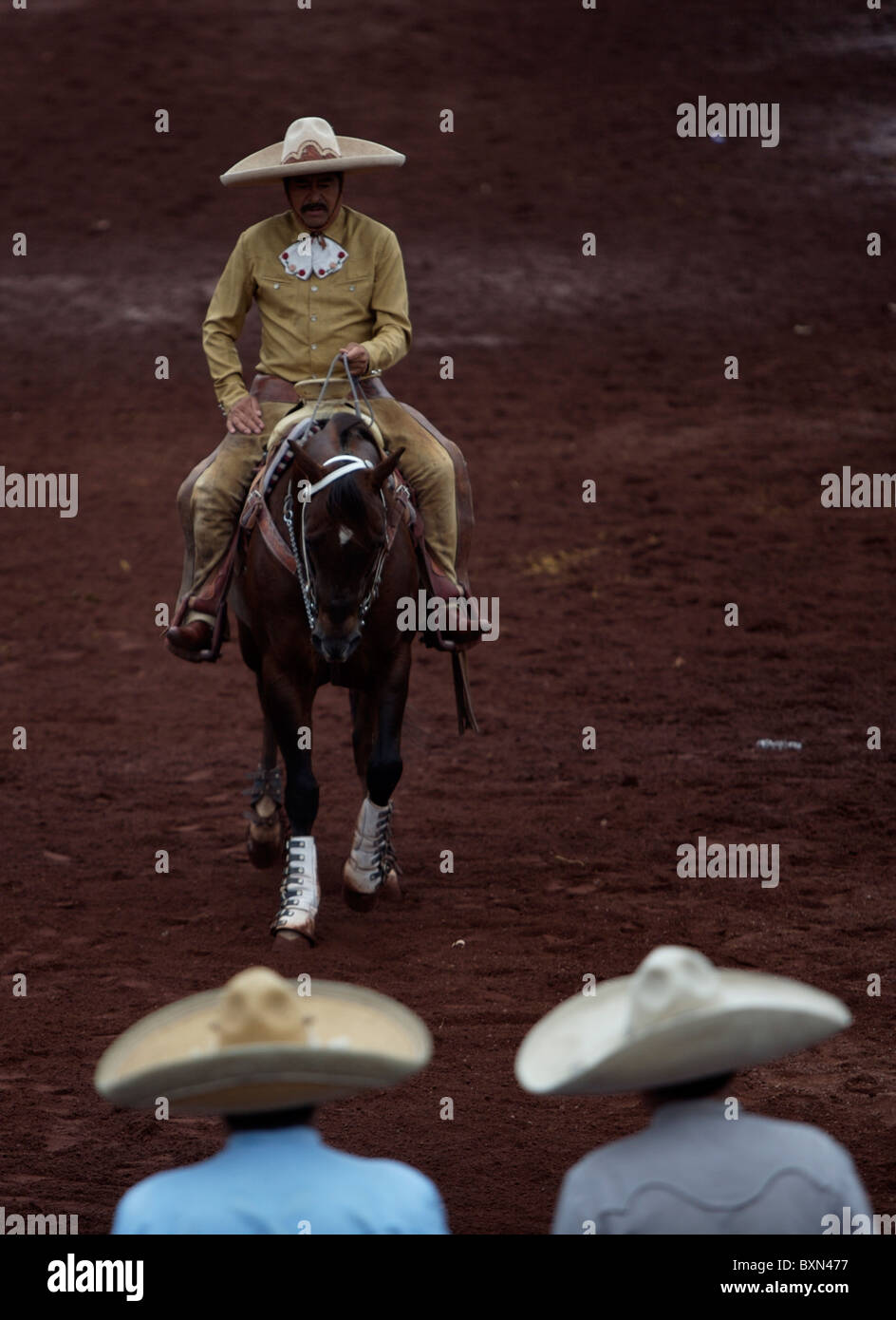 Two Charreria judges watch a Mexican Charro riding his horse in a ...