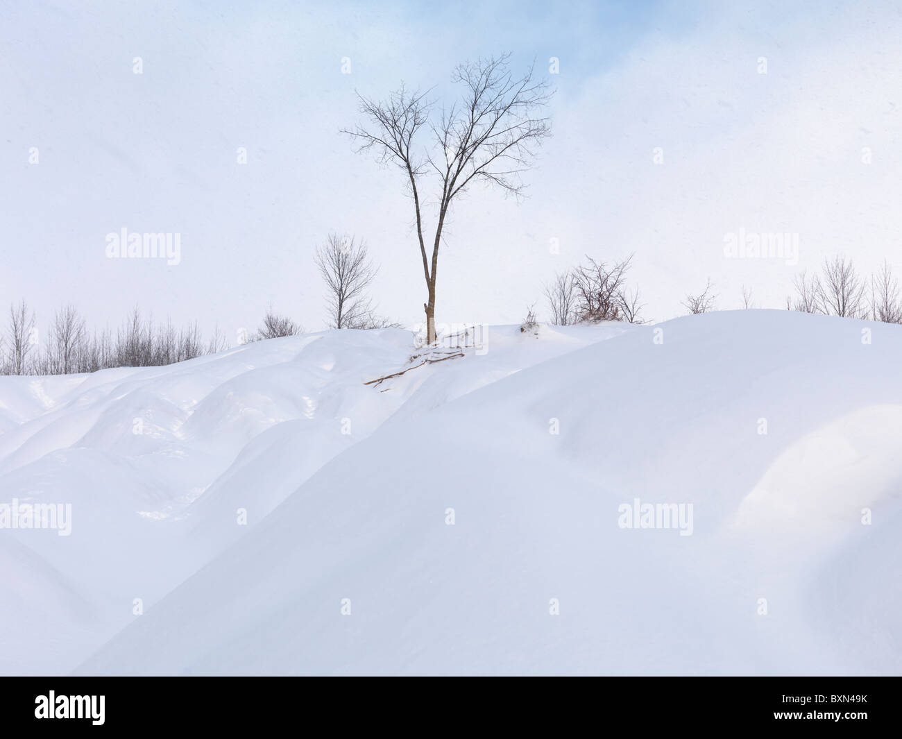 Ontario winter snowy landscapes hi-res stock photography and images - Alamy