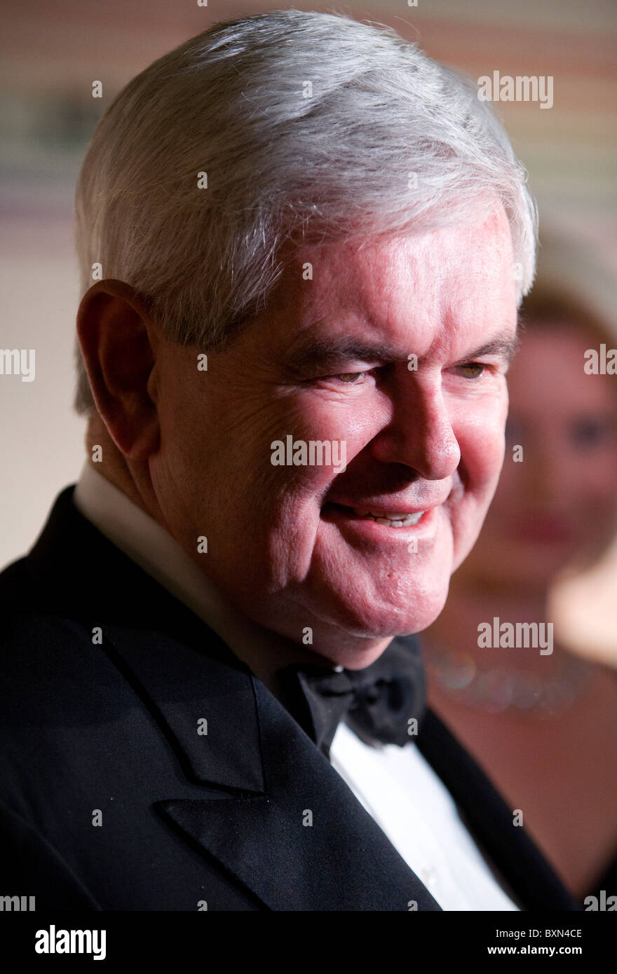 Gingrich newt hi-res stock photography and images - Alamy