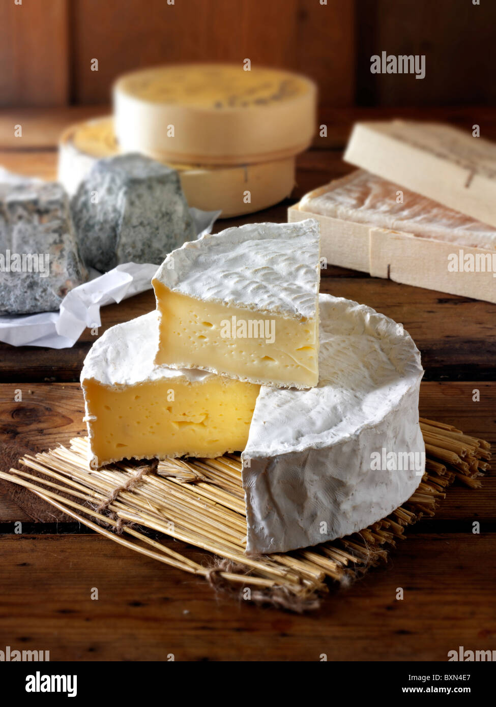Traditional coulommier French cheese Stock Photo - Alamy