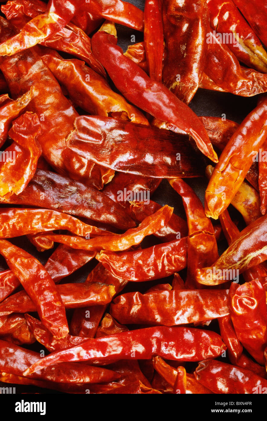 CHILI (HOT) PEPPERS / STUDIO Stock Photo - Alamy