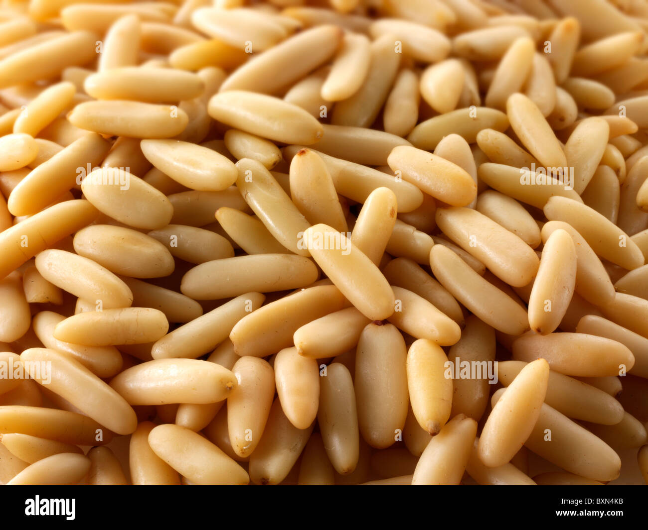 Whole fresh pines nuts Stock Photo - Alamy