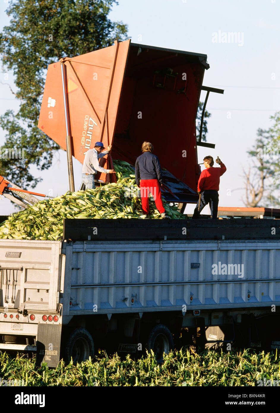 Dump cart hi-res stock photography and images - Alamy