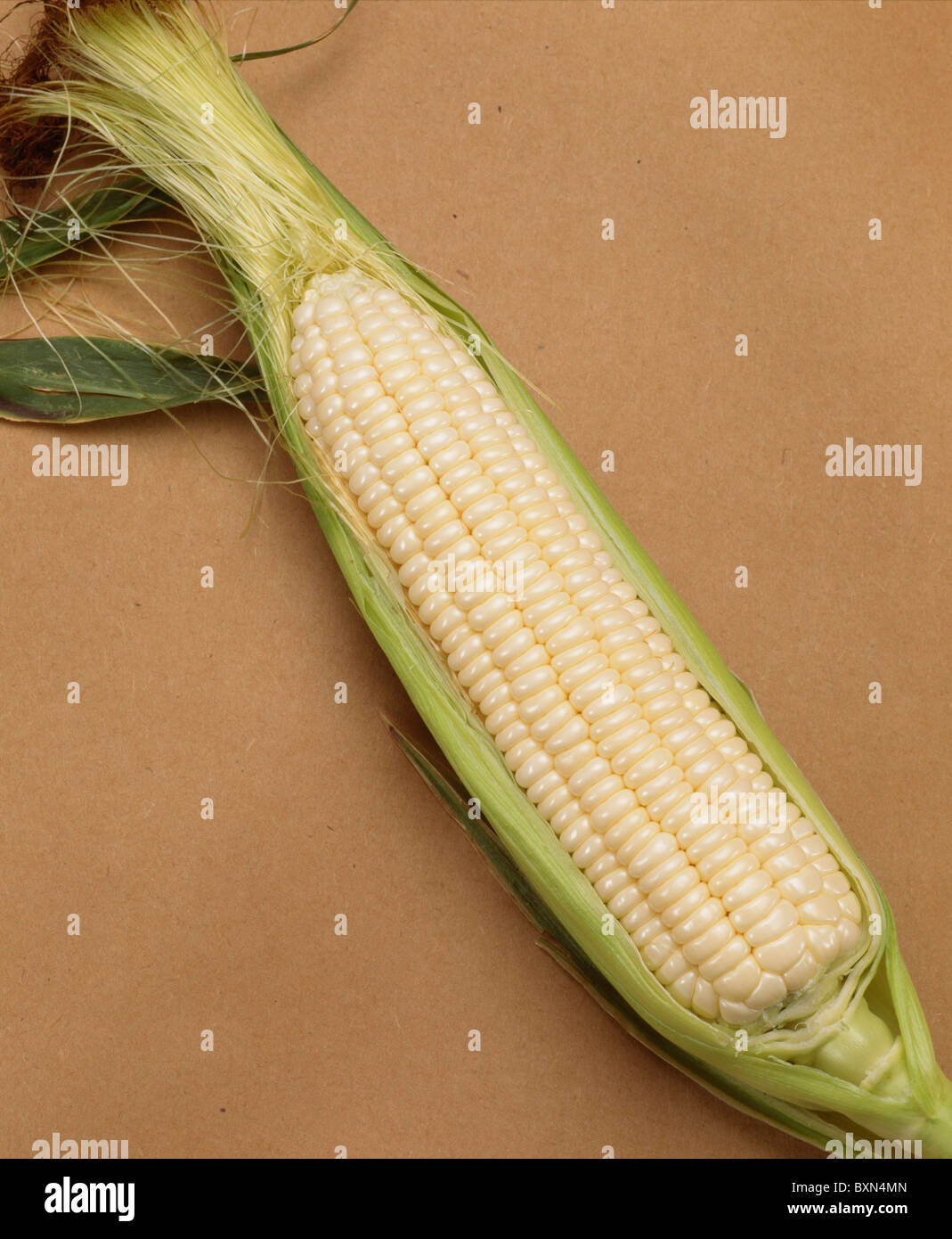 Silver queen corn hi-res stock photography and images - Alamy