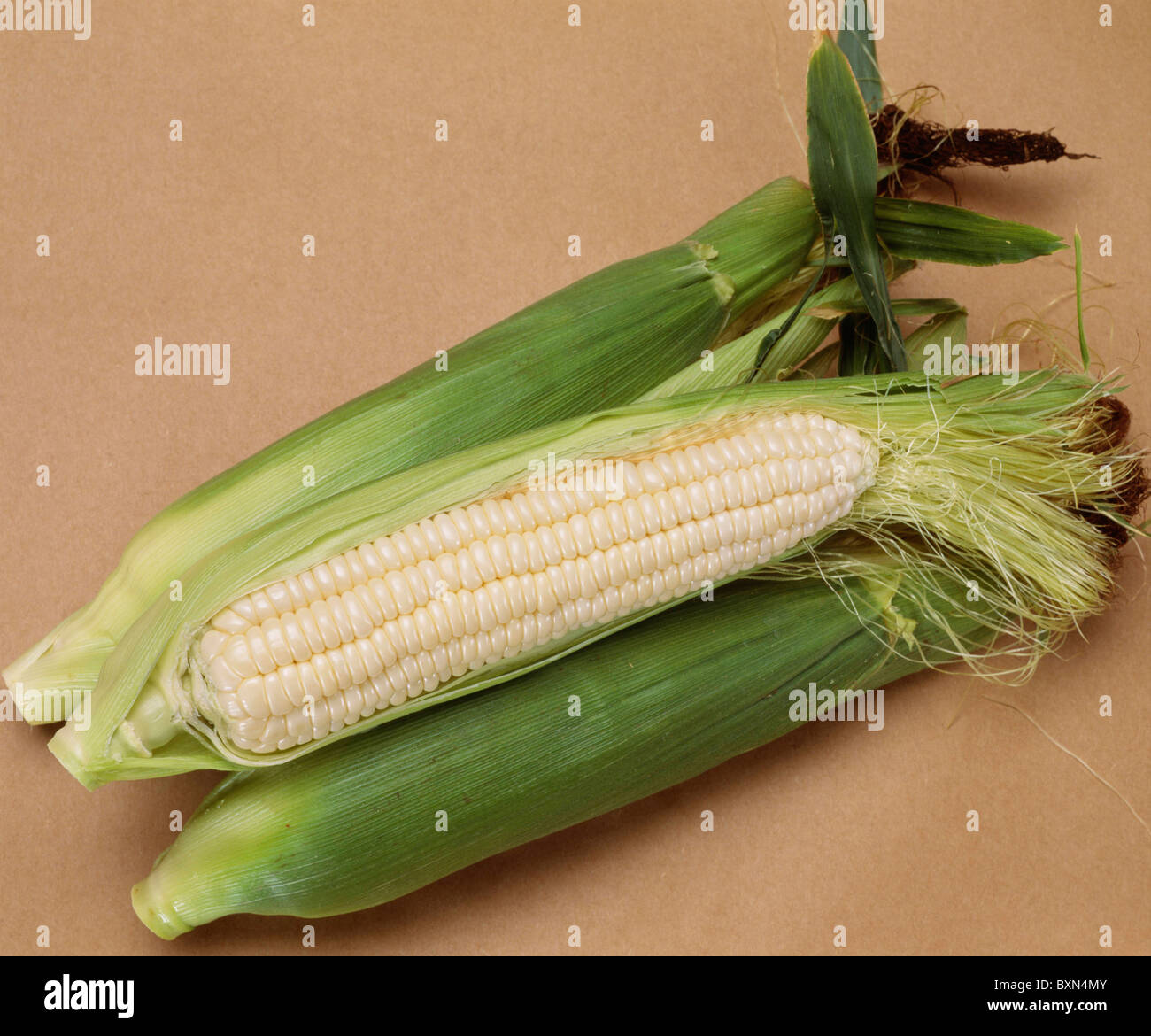Silver queen corn hi-res stock photography and images - Alamy
