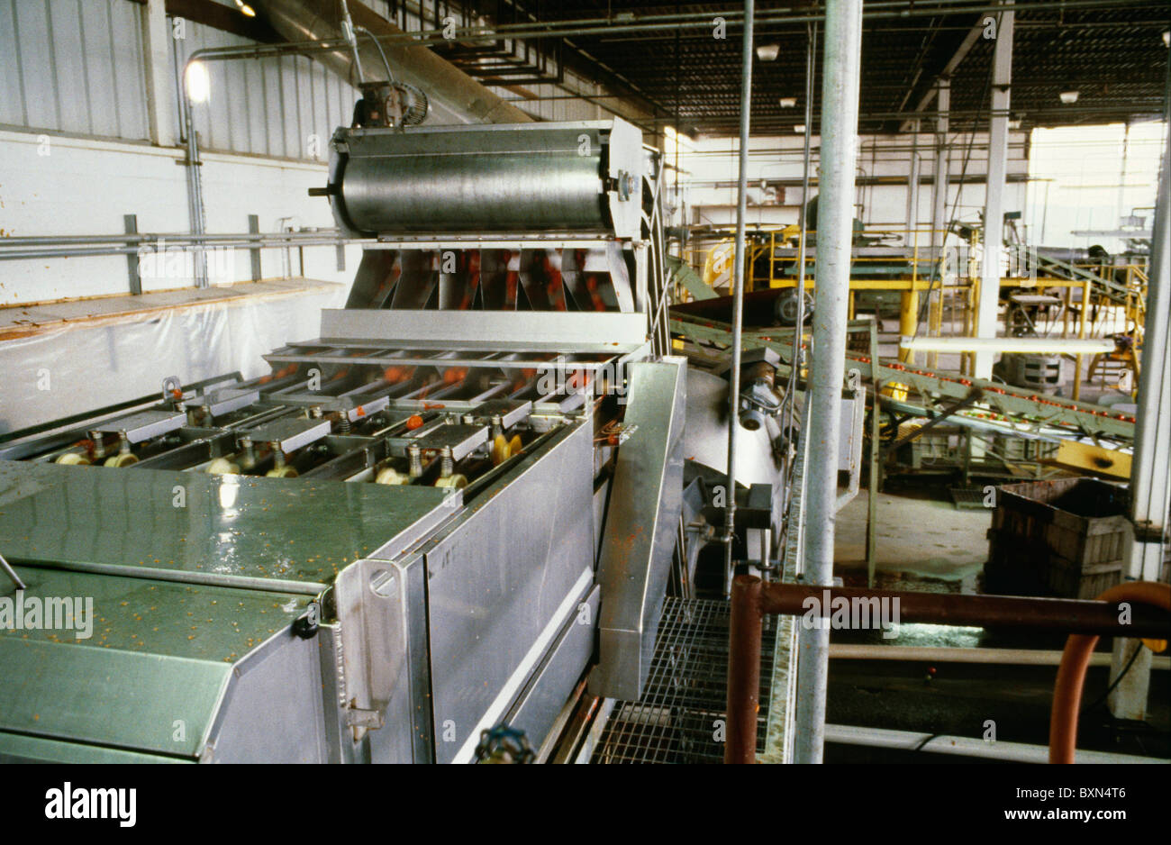 Fruit vegetable peeling machine hi-res stock photography and images - Alamy