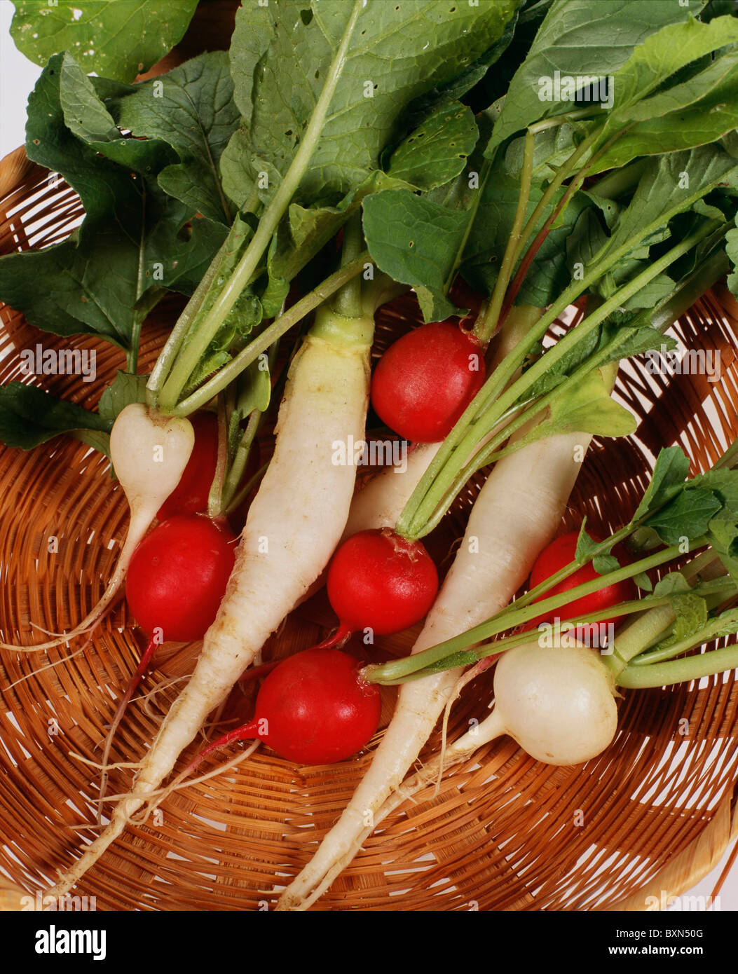 Radish scarlet globe hi-res stock photography and images - Alamy