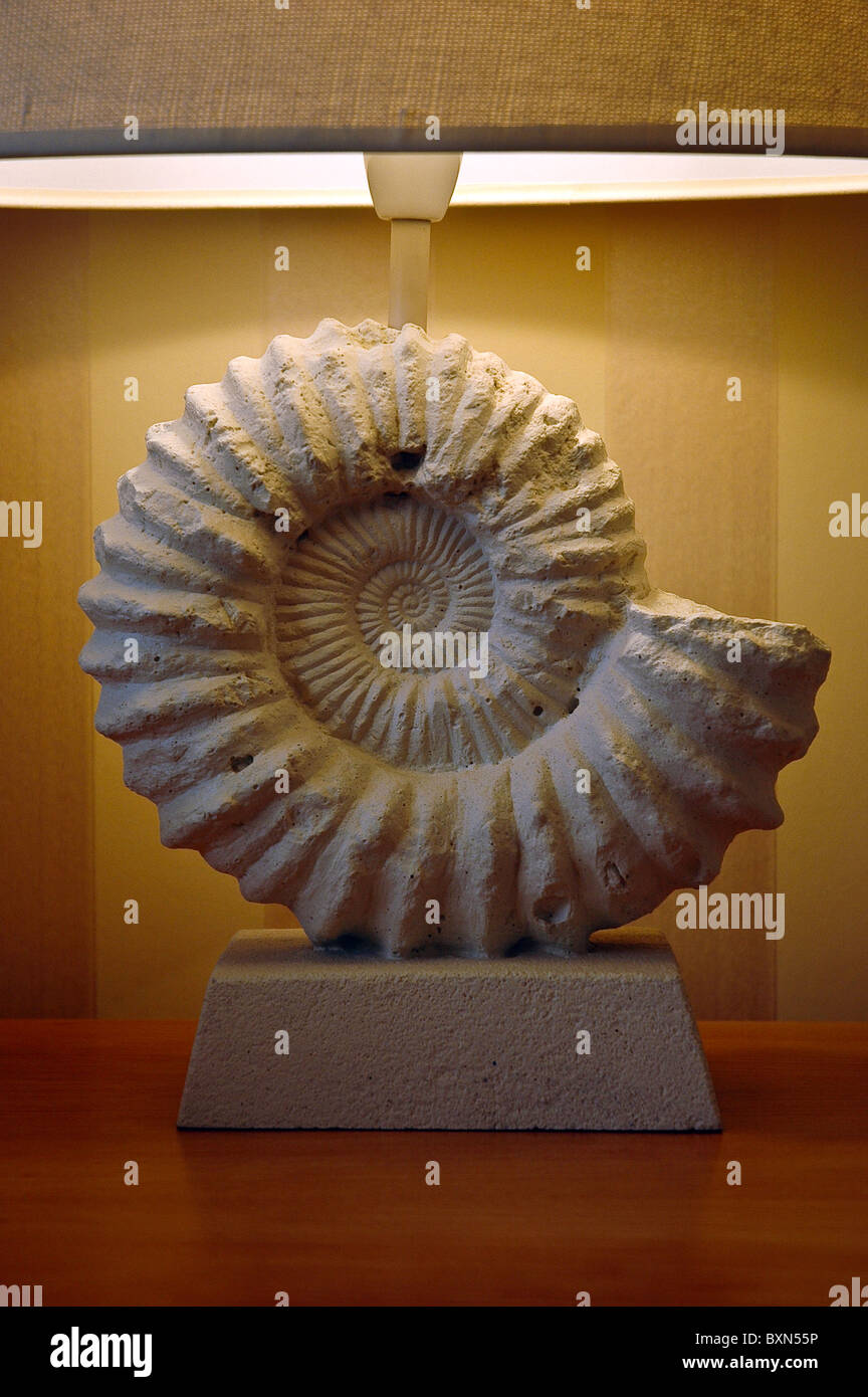 Ammonite lamp hi-res stock photography and images - Alamy
