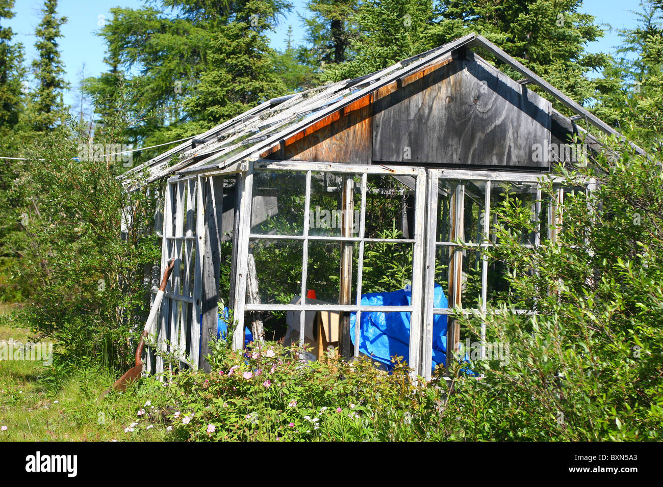 Old greenhouse roof hi-res stock photography and images - Alamy