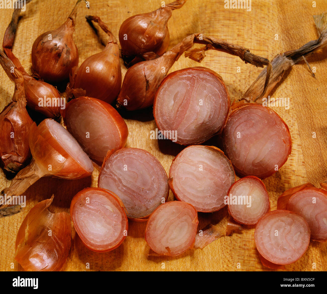 SHALLOTS (ALLIUM CEPA) STUDIO Stock Photo - Alamy