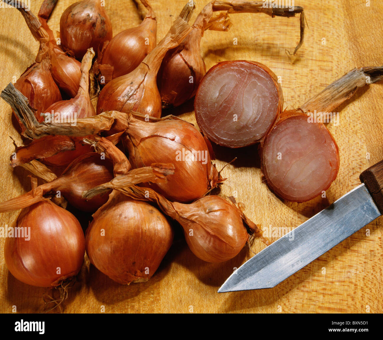 SHALLOTS (ALLIUM CEPA) STUDIO Stock Photo - Alamy