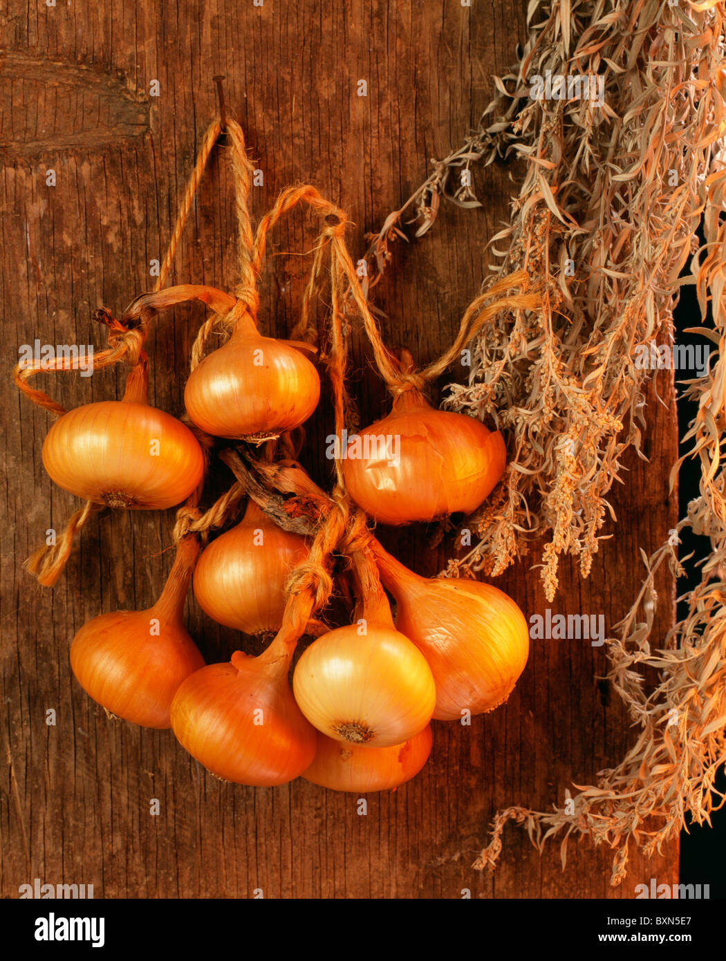 Ebenezer brown hi-res stock photography and images - Alamy