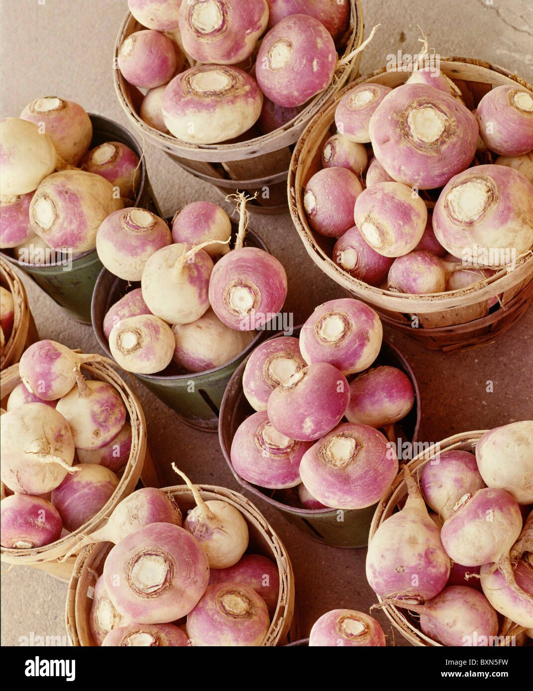 TURNIPS / DELAWARE Stock Photo - Alamy